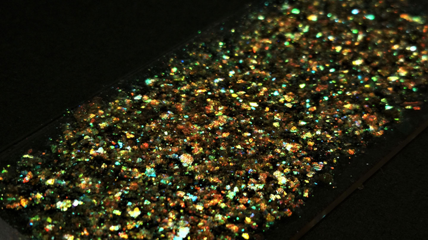 Creating Glitter From Plants - ONE WORLD BLUE